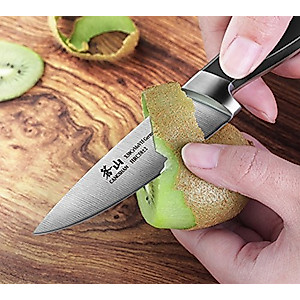 Cangshan V2 Series 1020427 German Steel Forged Paring Knife, 3.5-Inch Blade
