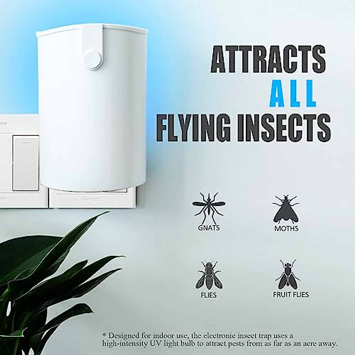 Flying Insect Trap, Fruit Fly Traps for Indoors, Home Plug in Bug Catcher Indoor Sticky, Electric Fly Light Trap Kit for Flies, Fruit Flies, Moths, Gnats, and Other Flying Insects