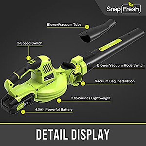 Cordless Blower & Vacuum - SnapFresh 2 in 1 Electric Blower with 4.0Ah Lithium Battery & 2h Fast Charger, 20V Handheld Vacuum Sweeper with Bag for Small Trash, Car, Dust, Pet Hair, Corner Cleaning
