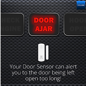 YoLink Smart Home Starter Kit: Security & Leak Detection Kit (Hub, Door Sensor, Water Leak Sensor, Plug Mini Compatible with Alexa, LoRa-Powered 1/4 Mile Range