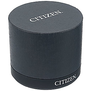 Citizen Quartz Mens Watch, Stainless Steel, Classic, Two-Tone (Model: BF5004-93A)