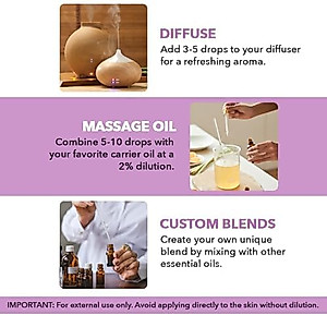 Majestic Pure Lavender Essential Oil with Glass Dropper | 100% Pure and Natural Lavender Oil | Premium Grade Essential Oils for Diffusers, Skin, Aromatherapy, Massage | 4 Fl Oz