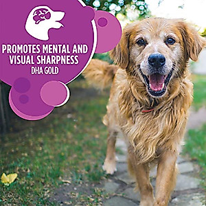 IAMS Healthy Aging Adult Large Breed Dry Dog Food for Mature and Senior Dogs with Real Chicken, 30 lb. Bag