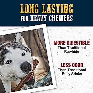 Cadet Bully Hide Sticks for Small, Medium and Large Dogs – All-Natural Beef Pizzle, High Protein, Low Fat, Long-Lasting, Grain & Rawhide-Free Dog Chews for Aggressive Chewers, Large (7 Count)