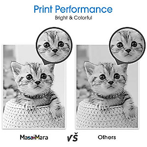 MasaiMara Compatible TN760 Toner Cartridge Replacement for Brother TN-760 TN 760 TN730 TN-730 for HL-L2350DW DCP-L2550DW HL-L2395DW HL-L2390DW HL-L2370DW MFC-L2750DW MFC-L2710DW Toner (Black, 1 Pack)