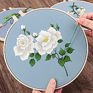 25 Skeins 6 Strands Vibrant Embroidery Floss with 5 Winder Cards Cross Stitch Threads Friendship Bracelet Thread Rainbow Embroidery Floss Skein for DIY Hair Wraps Crafts Sewing Projects