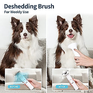 Goawuao Dog Grooming Kit, Pet Vacuum, Dog Hair Vacuum, Pet Cat Grooming Kit with Brush Clipper Deshedding Cleaning Brush, Professional Pet Salon