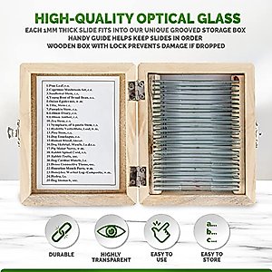 AmScope PS25 Prepared Microscope Slide Set for Basic Biological Science Education, 25 Slides, Includes Fitted Wooden Case Brown