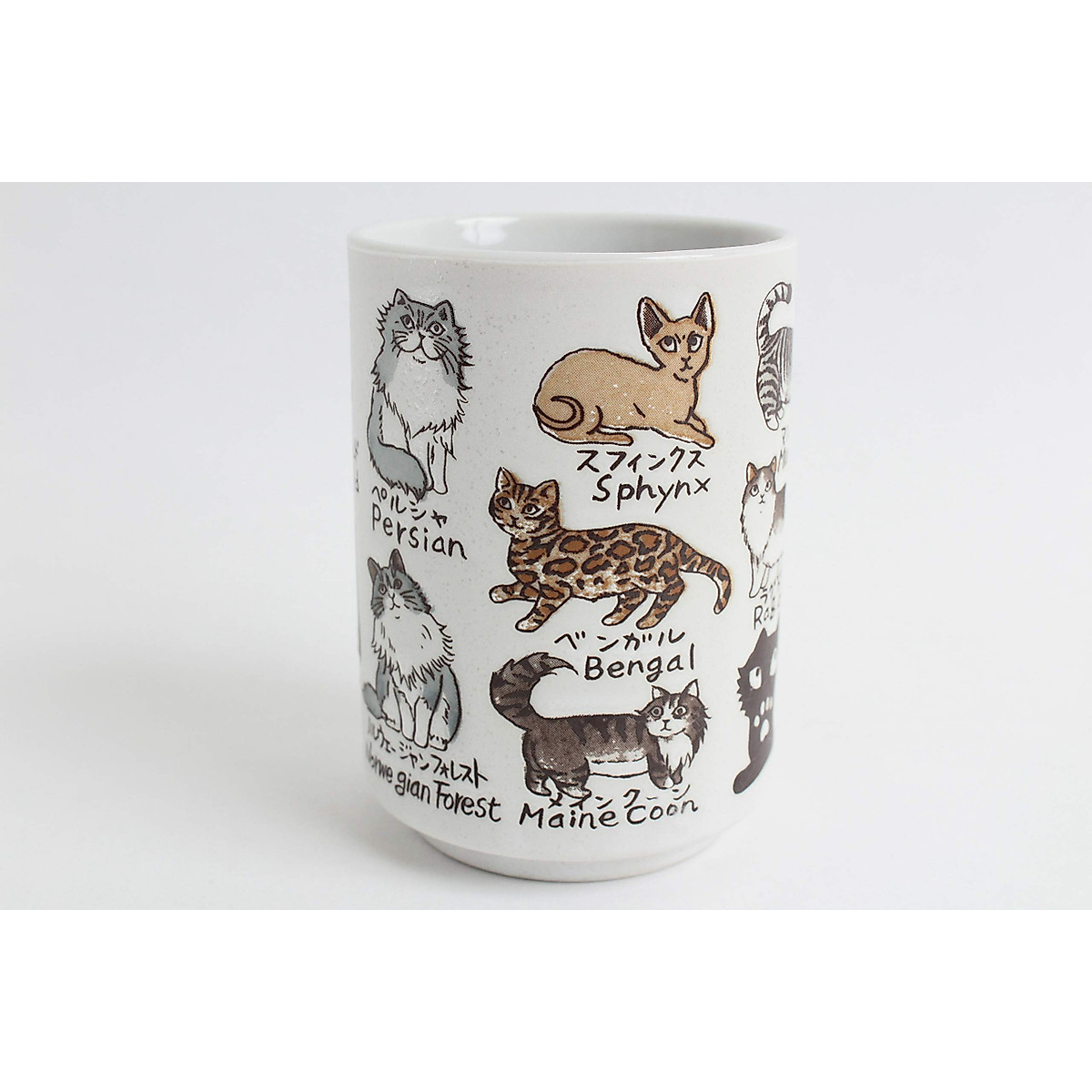 Mino ware Japanese Ceramics Sushi Yunomi Chawan Tea Cup Various Cats made in Japan (Japan Import) YAY050