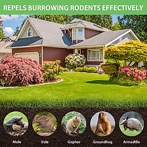 MAGIC CAT Mole Repellent for Lawns, 10 Pack Natural Castor Oil Vole Repellent Outdoor Pet Plant Safe, Gopher Repellent Mole Deterrent to Keep Mole Vole Groundhog Out of Your Lawn Yard Garden
