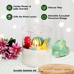 Tuitessine Succulent Cactus Terrarium Candles with Bamboo Lid Natural Wax Cute Succulent Scented Catcus Candle for Plant Lovers Teacher Appreciation Mother's Day Gift Spa Home Decoration