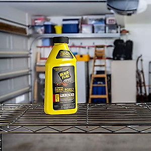 Black Flag Extreme Home Insect Control Concentrate, 16 Ounce, for Indoor and Outdoor Use, Makes 2 Gallons