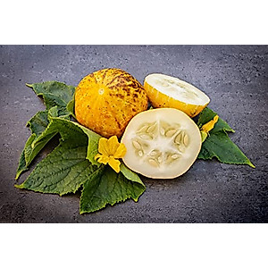 Lemon Cucumber Seeds for Planting,125+ Heirloom Seeds Per Packet, (Isla's Garden Seeds), Non GMO Seeds, Botanical Name: Cucumis sativus 'Lemon', Great Gift for Home Garden