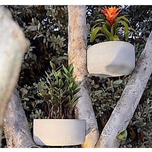 Generic Zen Candles - Concrete Plant Pot Decor Reusable Amber Wood Jasmine Baccarat Rouge Sandalwood Violet Le Labo Santal Oud Vanilla Bond Nomad Musk Rose (Oud & Vanilla, Medium), Gray