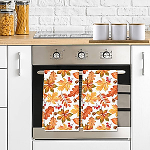 JarThenaAMCS Fall Leaves Kitchen Towels Watercolor Maple Leaves Dish Towels 18 x 28 Inch Autumn Hand Drying Tea Towels for Thanksgiving Cooking Baking Cleaning Wipe, Set of 2