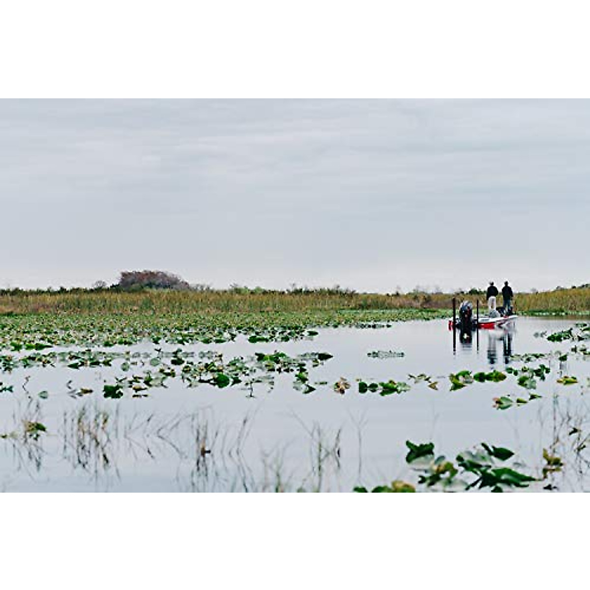 Abu Garcia Zata Baitcast Low Profile Reel and Fishing Rod Combo, 7' - Medium Heavy - 1pc Green