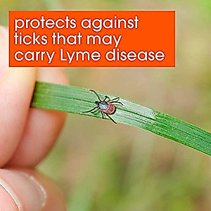 Off! Deep Woods Sportsman Insect Repellent 6 Ounce (Pack of 12)