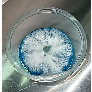 Booming Acres 70mm Potato Dextrose Yeast Colored Agar Cup 15 Pack | Premade Prepoured Sterile Agar Cups