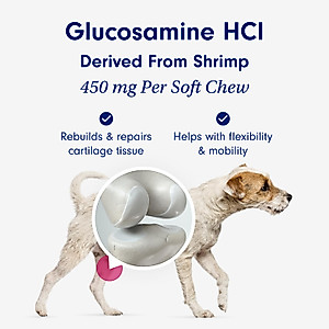 PetLab Co. – Breath & Joint Bundle: Dental Powder for an Effortless Clean in 1 Scoop for Medium Dogs & Joint Care Chews for Dogs Supporting Mobility & Occasional Joint Stiffness