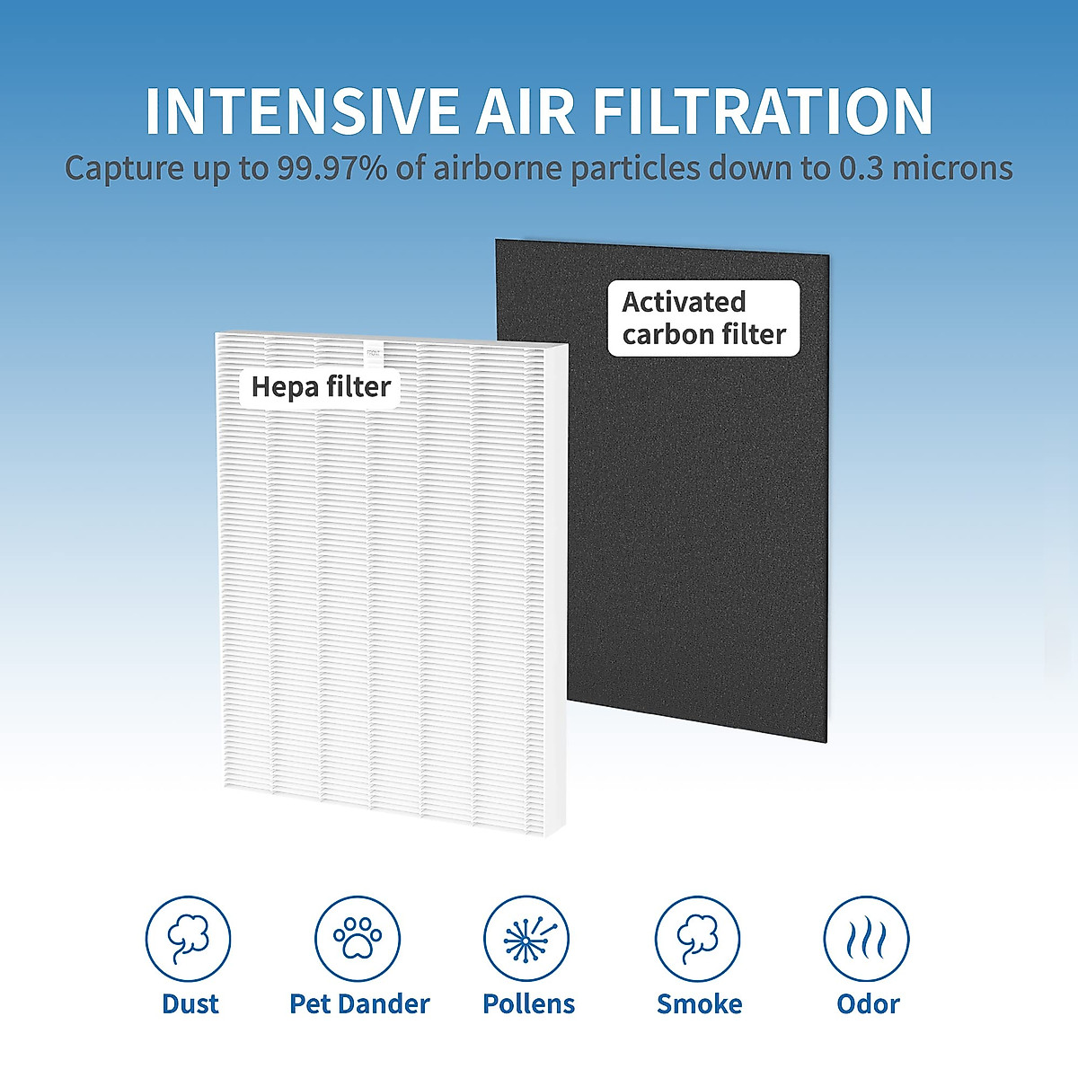 Filteridge C545 Replacement Filter, Compatible with Winix C545, Winix S Filter 1712-0096-00 Air Purifier, H13 True HepaFilter Replacement, 1 H13 HEPA Filter + 4 Activated Carbon Filters