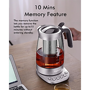 Electric Glass Tea Kettle with Infuser, 1.7L/1500W Fast Boiling, Stainless Steel, Temperature Control Tea Maker, BPA Free - Easy Lid Removal & Keep Warm Feature, Silver