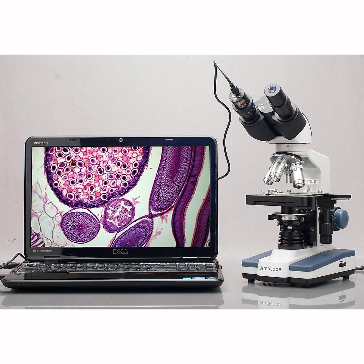 AmScope MD500 5.0 Mega Pixel USB Still Photo & Live Video Microscope Imager Digital Camera 5MP, Windows XP/Vista/7/8/10