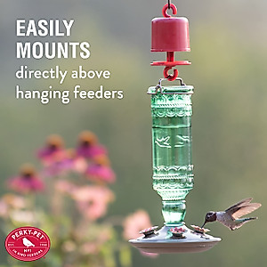 Perky-Pet 245L Ant Guard for Hummingbird Feeders