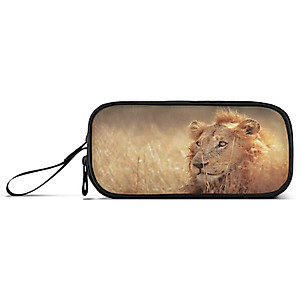 ALAZA South Africa Lion Pencil Case Large Capacity,Pencil Pouch Office College Large Storage Pen Bag 3 Compartment Pencil Cases for Women Adults Teen