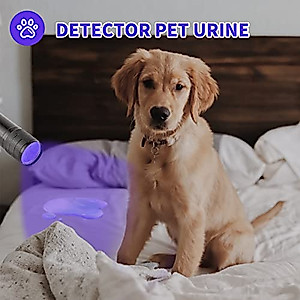 yikosam 5 Pcs UV Black Light Flashlights, 9 Led 395-400nm Mini Blacklight Handheld Portable Torch Pet Urine Detector for Bed Bug, Hair, Dog Cat Urine and Stains Batteries Included