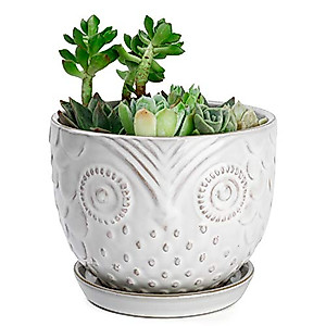 Greenaholics Owl Planters Ceramic Animal Plant Pots- 6.1 Inch White Succulents Aloe Planter Indoor Large Animal Flower Pots with Attached Tray and Drainage Hole for Cactus Snake Plant Decorative Gifts