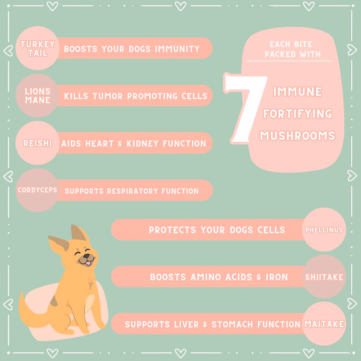 - Pup Shrooms - Mushroom Complex Soft Chews for Dogs - Lion's Mane, Turkey Tail, Shiitake - EPA, DHA, Turmeric and Organic Kelp - 160 Count - Boosts Immunity, Improves Digestion, Hip & Joint Support