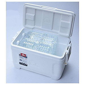 Igloo 25 Quart Marine Contour , White