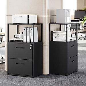 Letaya 2 Drawer Lateral File Cabinets with Lock,Metal Printer Stand Filing Organization Cabinets for Home Office,Hanging Files Letter/Legal/F4/A4 Size (Black)