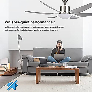 reiga 66" Modern Sleek Ceiling Fan with Dimming Light and APP Remote Control, 6 Matt Sliver Blades Reversible DC Motor for Kitchen, Bedroom, Patio