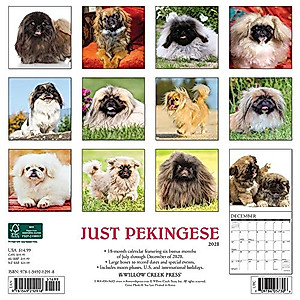 Just Pekingese 2021 Wall Calendar (Dog Breed Calendar)