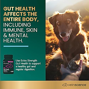 VetriScience Extra Strength Gut Health Easy-Open Capsules, Probiotic & Prebiotic Digestive Supplement for Dogs & Cats, Digestion, Gas & Diarrhea, Immune Support, 7.5 Billion CFU Per Capsule, 120 Count