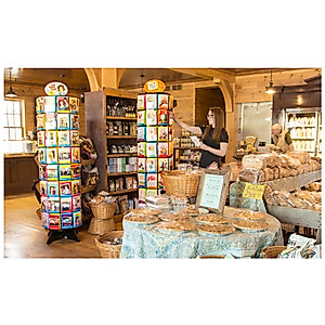 SHADE TREE GREETINGS Funny Women's Birthday Greeting Card (5" x 7") by Actual Pictures | 3 Pack + 3 Envelopes (Did Her Own Hair)