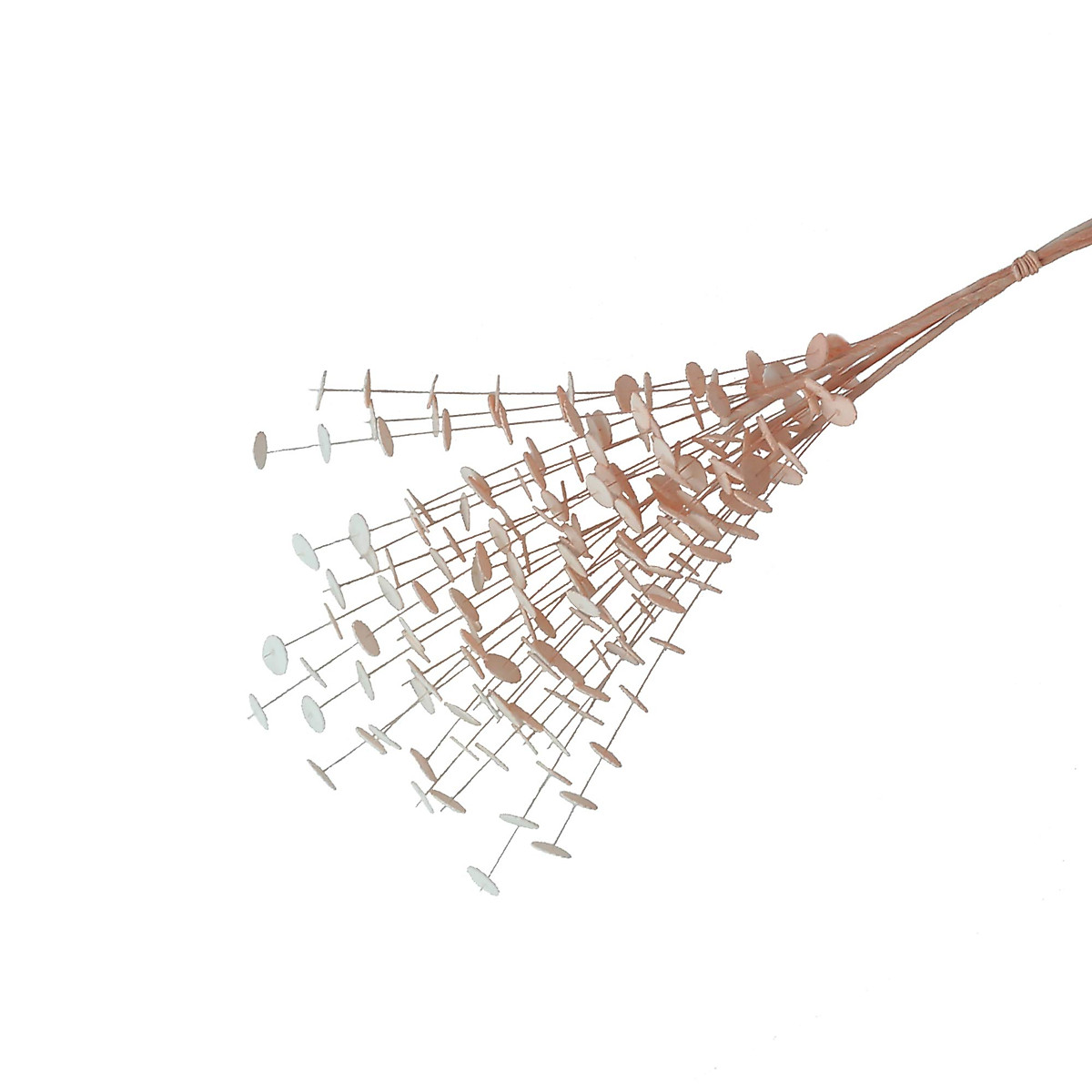 27 inches 3 Bundle Soft Pink Bundle Fake Silver Dollar Eucalyptus Stems Indoor Garden Home Office Decoration