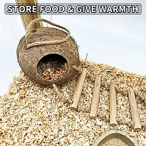 Tfwadmx Natural Coconut Hide with Ladder Perches Hanging Bird House Toy for Cage Parrot Breeding Nest for Gecko Parakeet Lovebird Finch Hamster