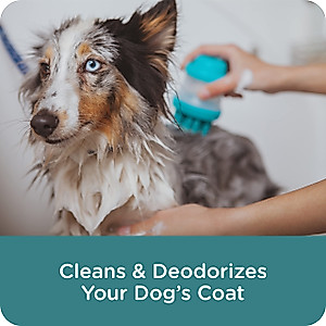 Sergeant's Guardian Flea & Tick Dog Shampoo, Clean Cotton Scent, 18 oz.