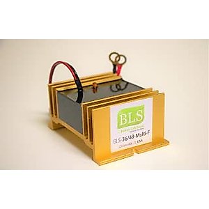 Battery Life Saver 36 & 48 Volt Industrial