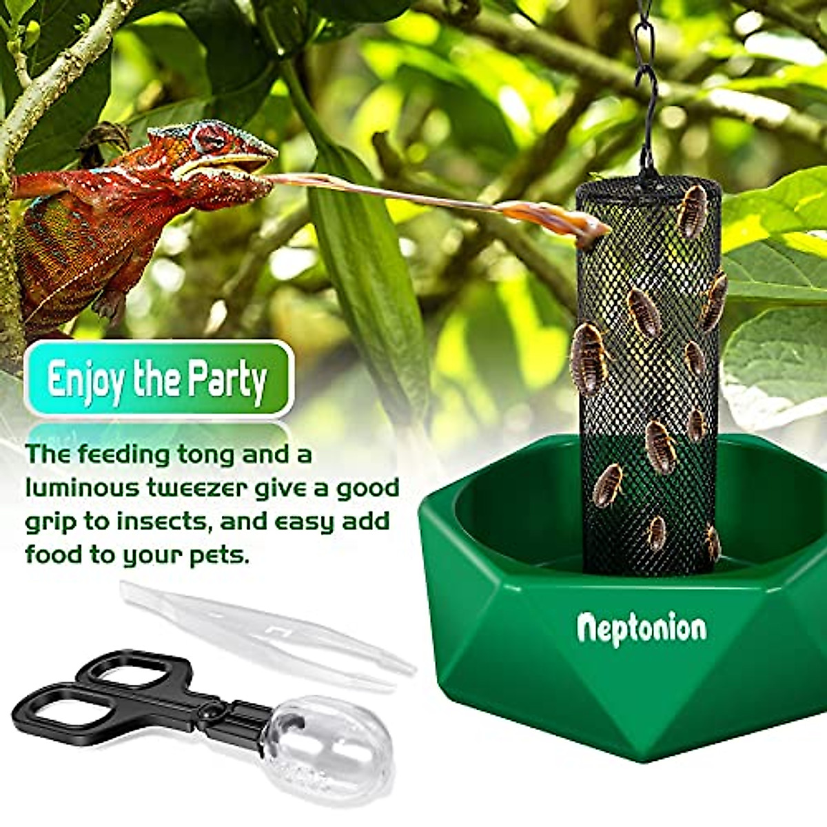 NEPTONION Chameleon Feeding Kit, Come with a Hookable Feeding Bowl and a Reptile Water Feeder, Perfect for Leaving Your pet Whilst on Vacation
