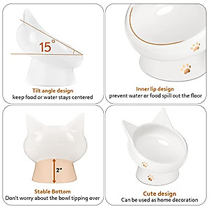 Cat Bowls, Ceramic Cat Food and Water Bowl Set Anti Vomiting, Tilted Elevated Bowls for Cat, Small Dogs, Protect Pet's Spine, Dishwasher and Microwave Safe,2 Pack