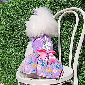 CuteBone White Rabbit Dog Easter Dress Velvet for Small Dogs Girl Eggs Skirt Puppy Purple Dresses Dog Clothes CVA19M-D