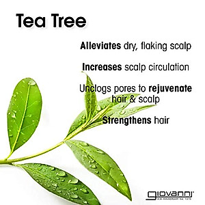 GIOVANNI Tea Tree Triple Treat Invigorating Shampoo & Conditioner Set - Cooling Peppermint, Eucalyptus, Rosemary, Helps Dry, Flaky Scalp, Salon Quality, Vegan, Cruelty Free - 8.5 oz Each