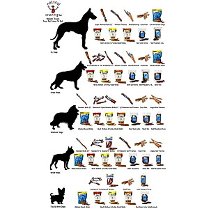 Natural Cravings USA Chicken Breast Strip Chews for Dogs | All Natural, High Protein | Premium Quality Pet Treat | 10 oz. Bag 2 Pack