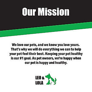 Leo & Lola Natural Cat Antibiotic : Antibiotics for Cats : Cat Antibiotics : Antibiotic for Cats : Cat Antibiotics for UTI : Cat UTI : Cat UTI Treatment : Cat UTI Antibiotics : 1 fl oz