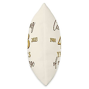 Anniversary Wedding 2023 Gift Apparel Funny 43 Years of Marriage 1980 43rd Wedding Anniversary Throw Pillow, 18x18, Multicolor