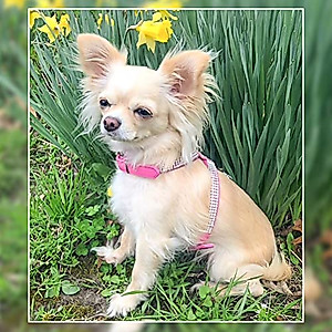 EXPAWLORER Dog Harness Genuine Leather Soft Padded Pet Sparkly Rhinestone Vest with Heart Pendant for Puppy Cat, Pink (S, Pink)