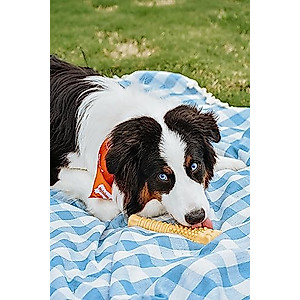 Nylabone Power Chew Dog Toy - Dog Toys for Aggressive Chewers - Indestructible Dog Toys for Aggressive Chewers Large Breed - For Extra Large Dogs - Peanut Butter X-Large/Souper (1 Count)